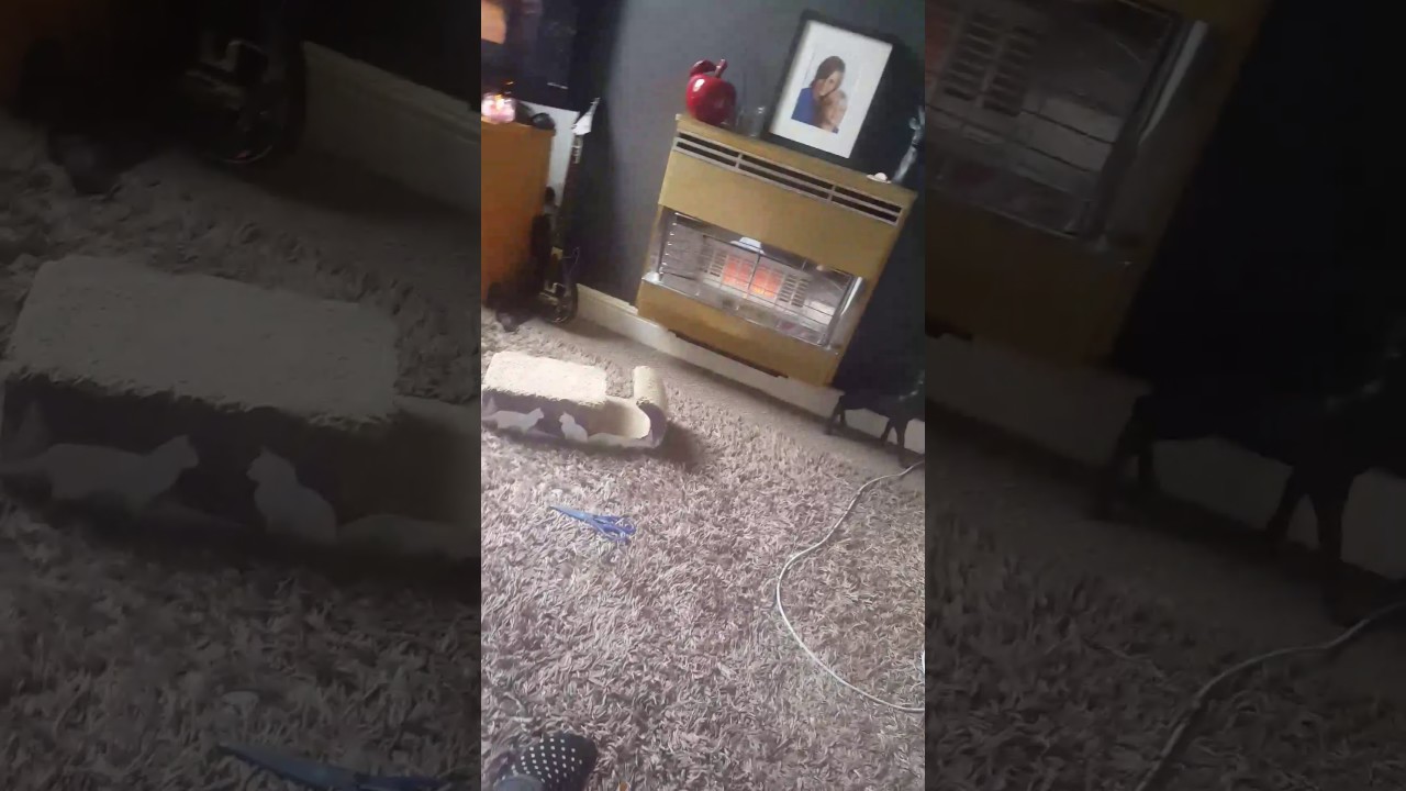 Infected Abscess one week post surgery. Open wound. Part 2 - YouTube