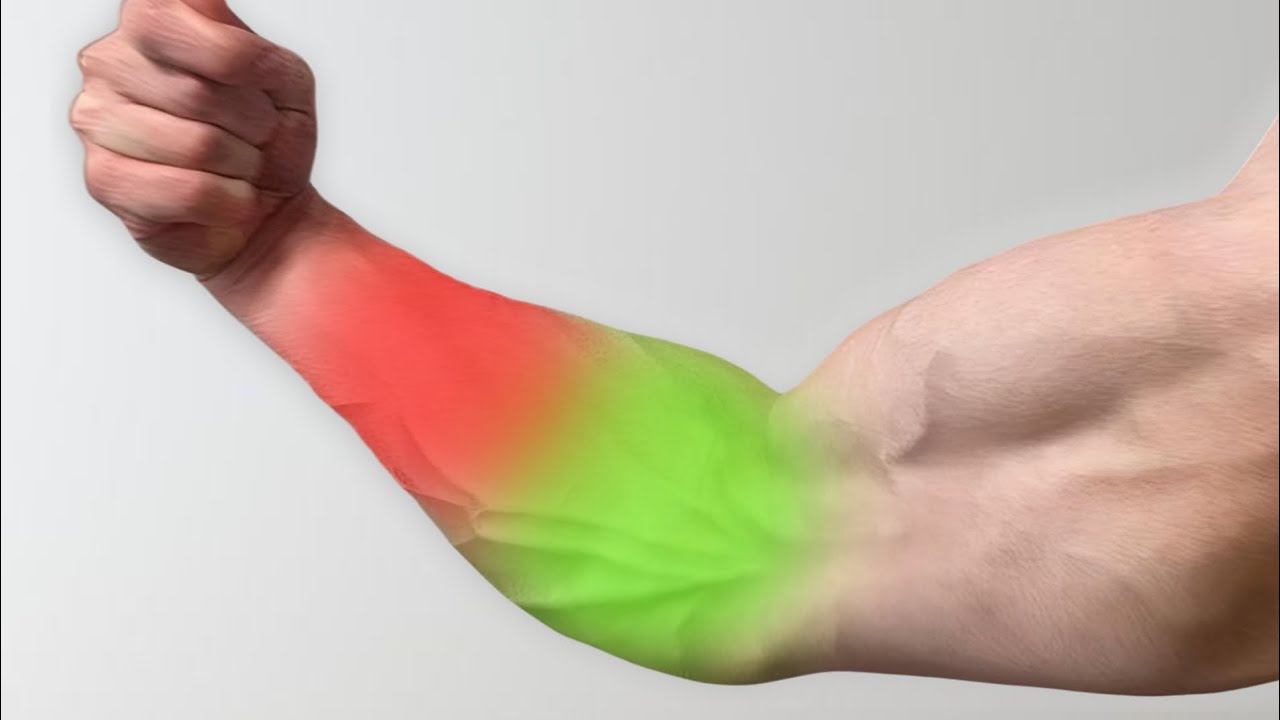 Get Massive Forearms Fast with This Home Exercise | Dominating # ...