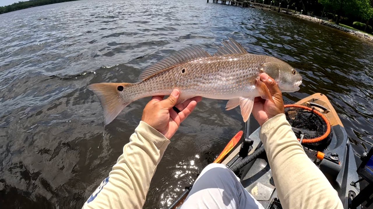Trying Out the GOAT Wake Bait Lure | Kayak Fishing the Bayou - YouTube