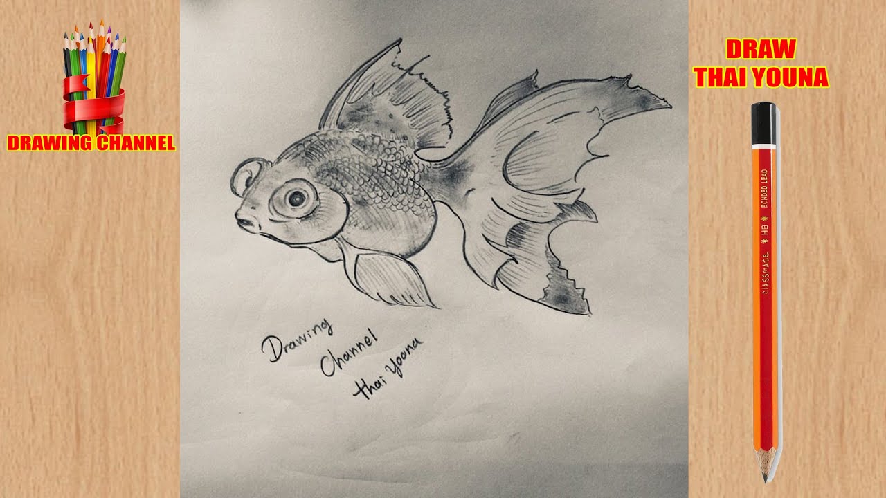 Fish Drawing Video Funny | Fish Draw Crazy Video picture - YouTube