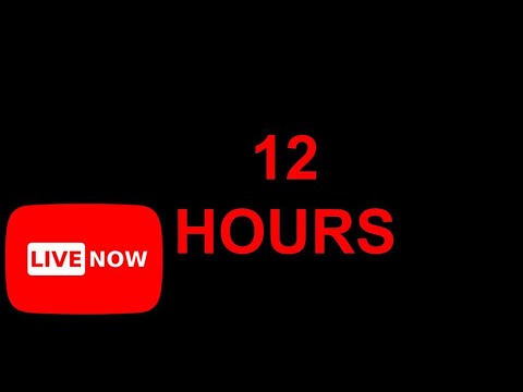 12 HOUR LIVE STREAM - YouTube
