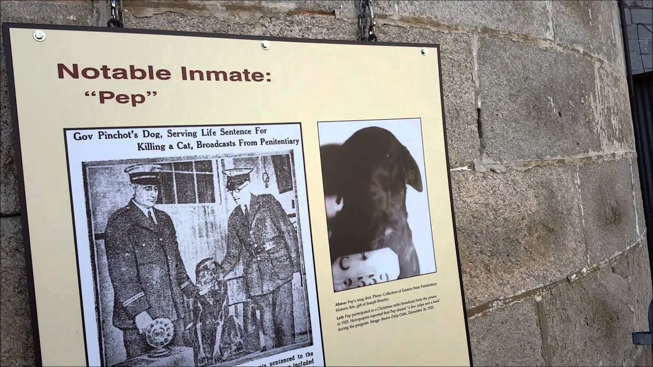 Eastern State penitentiary Pep the dog inmate - YouTube