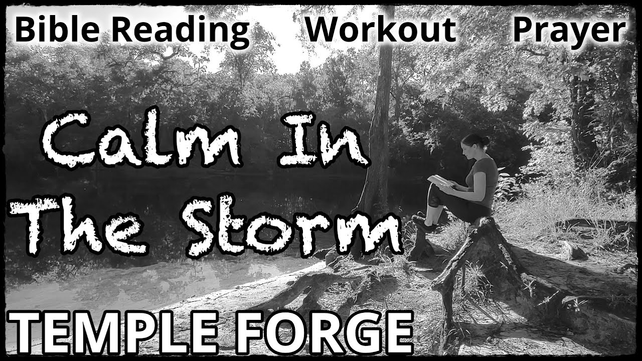 TEMPLE FORGE - DAY 14 - Read Through The Bible, Workout, And Prayer ...