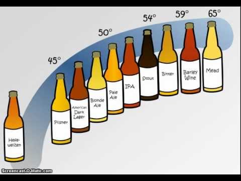 Beer 101: Lesson 2 - Serving Temperature - YouTube