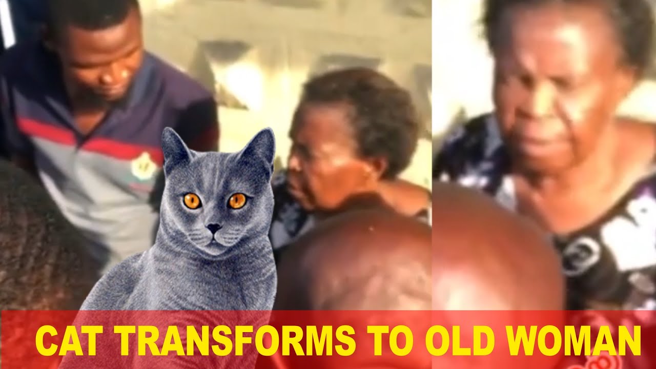 Cat Turn Into Old Woman In Nigeria - YouTube