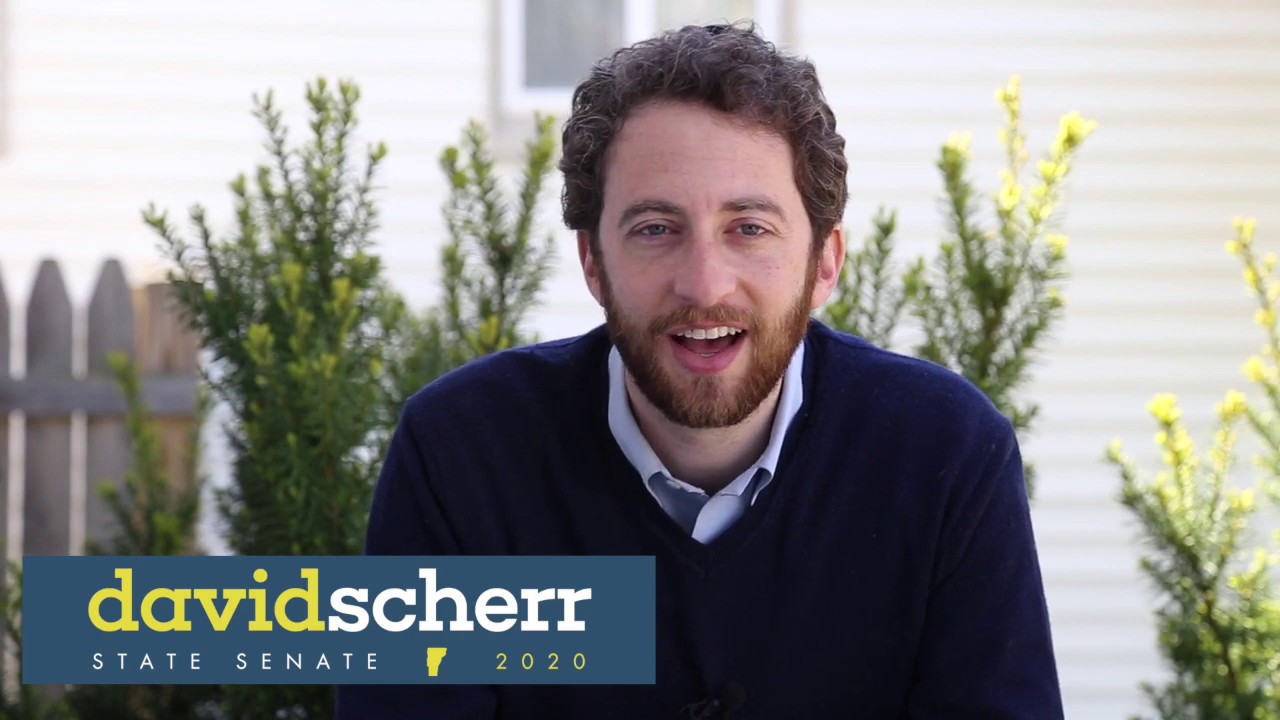 David Scherr for State Senate - YouTube