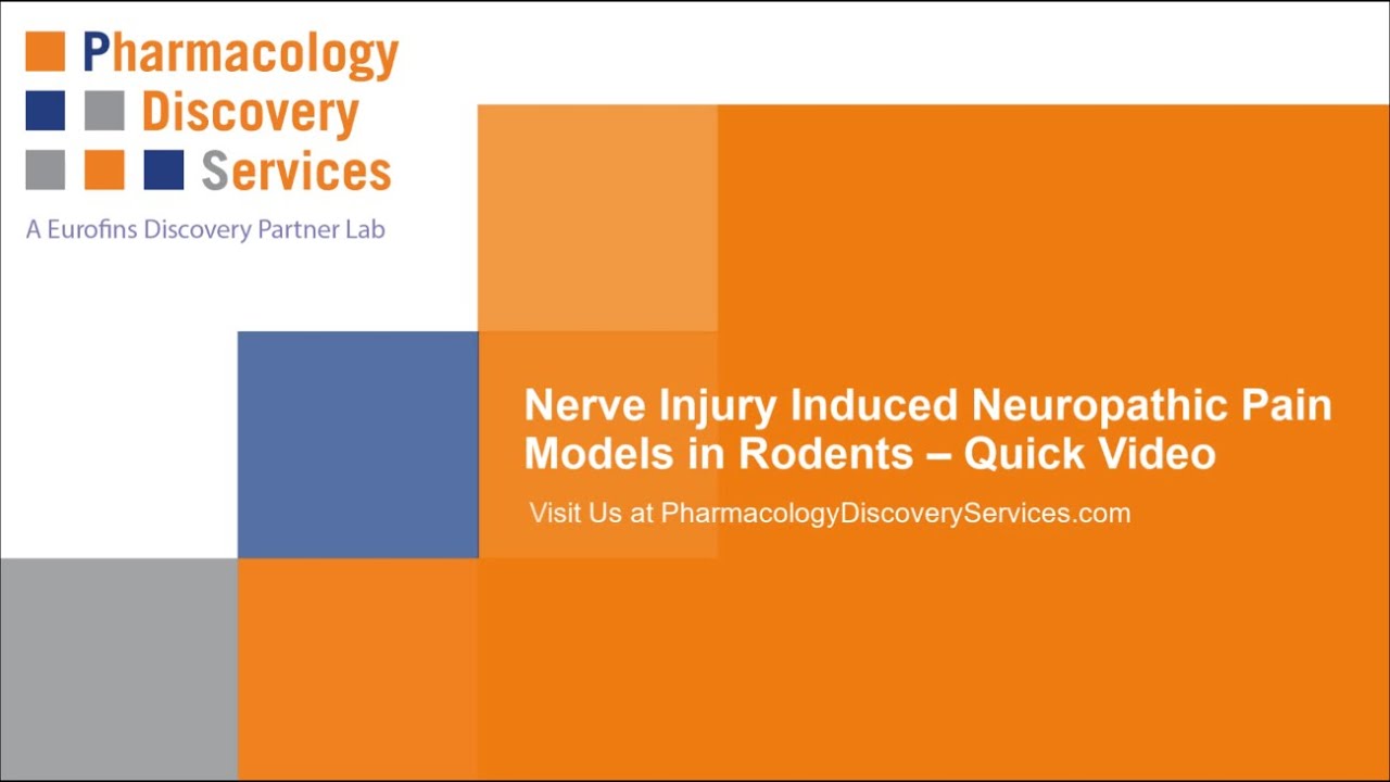 Nerve Injury Induced Neuropathic Pain Models in Rodents – Quick Video ...