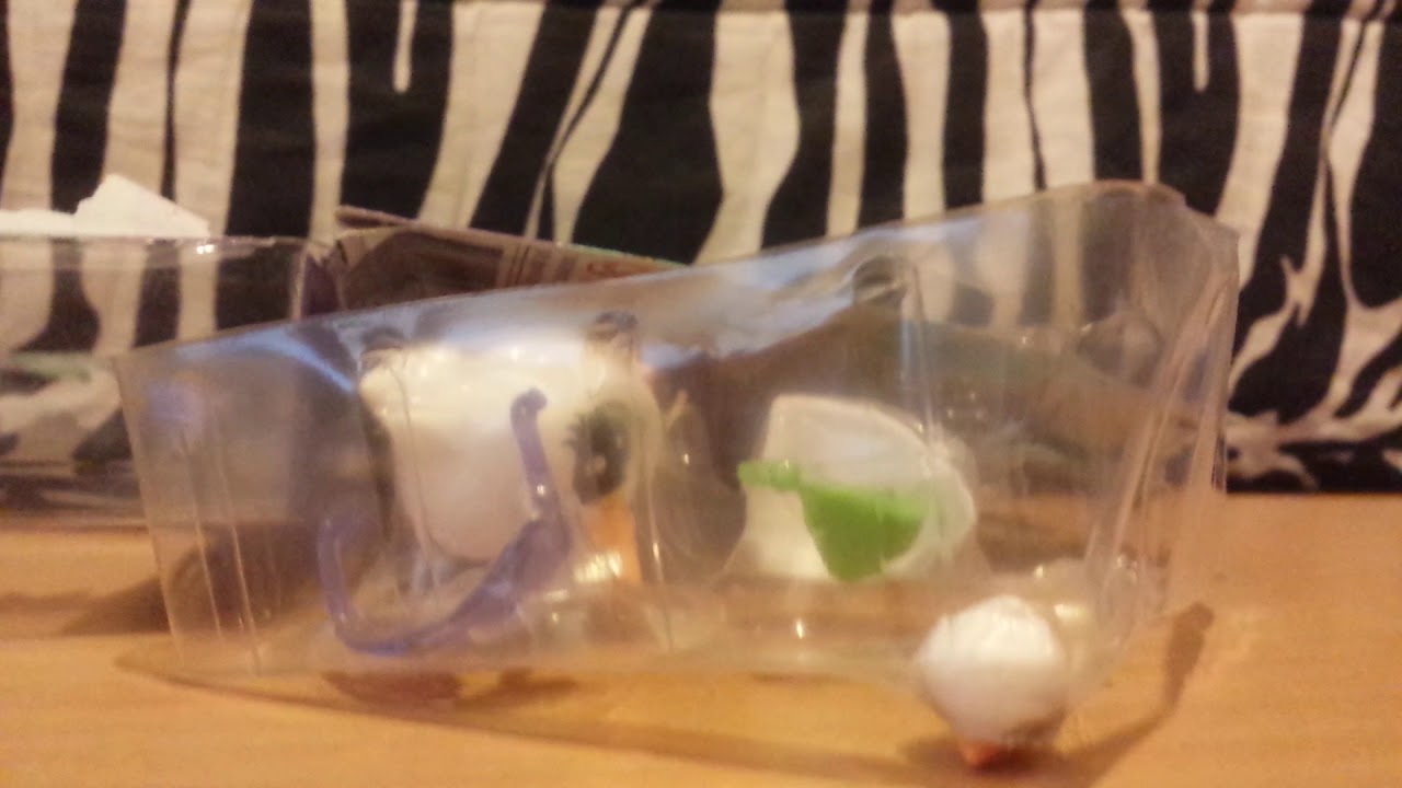 Littlest Pet Shop Pelican Set Review - YouTube