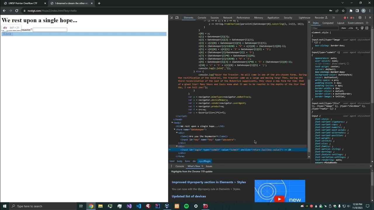 We Rest Upon a Single Hope Solution - UWSP Pointer Overflow CTF #ctf - YouTube