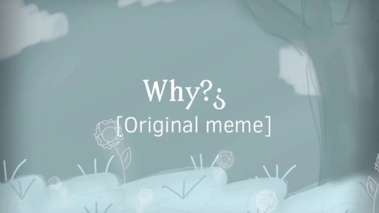 Why?¿ meme [ORIGINAL MEME] - YouTube