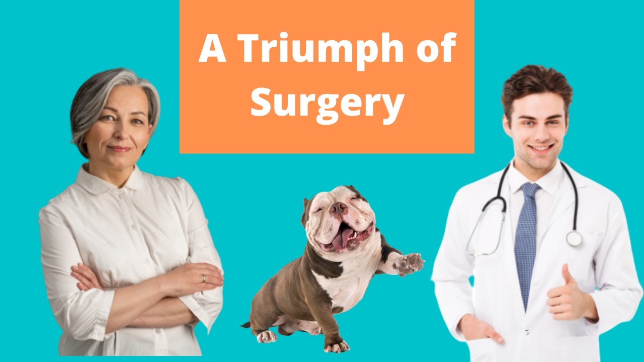 A Triumph Of Surgery Hindi Explanation Summary Class 10th English a-triumph-of-surgery-hindi-explanation-summary-class-10th-english