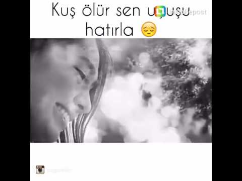 Kuş ölür sen uçuşu hatırla