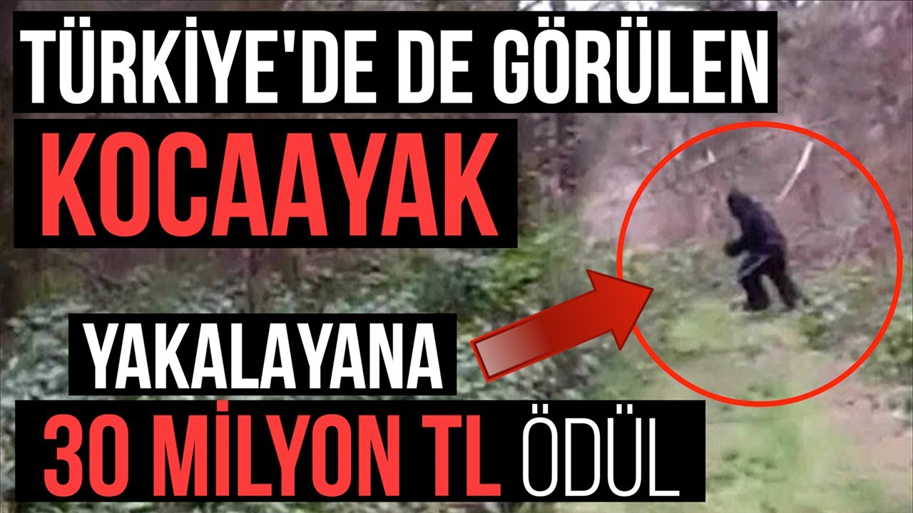 TÜRKİYE'DE DE GÖRÜLEN KOCAAYAK EFSANESİ! YAKALAYANA 30 MİLYON TL ÖDÜL ...