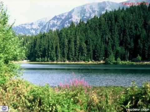 GÖNÜL ERDOĞAN AYRI DURUYOR