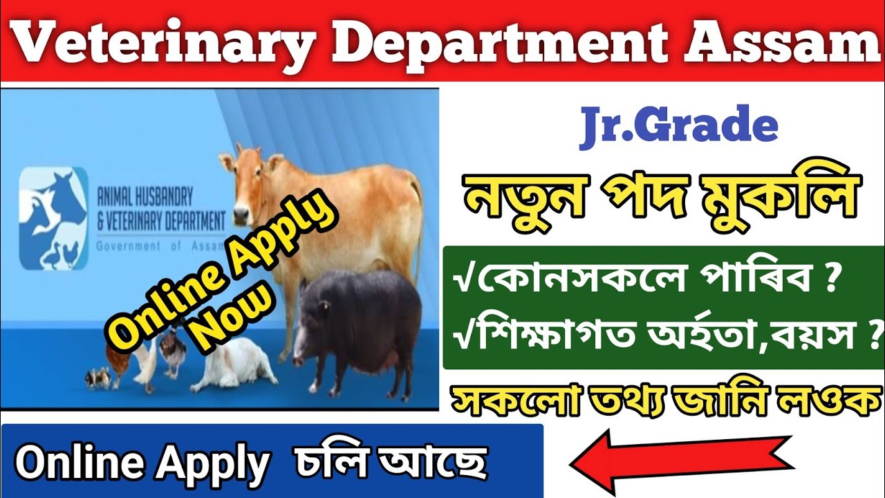 Veterinary Department Assam||Jr grade|| Animal Husbandry & Veterinary ...