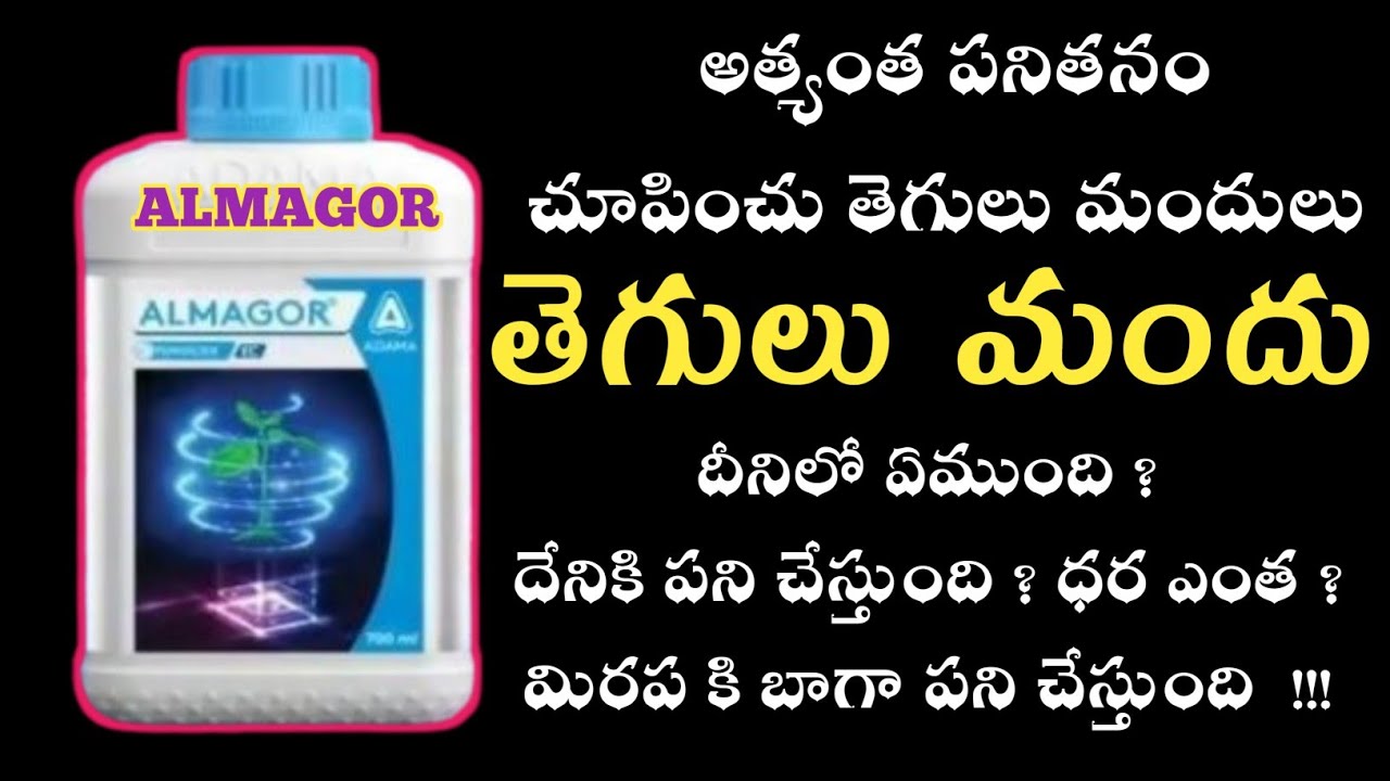 Adama Almagor Fungicide Uses In Telugu Almagor Fungicide Technical adama-almagor-fungicide-uses-in-telugu-almagor-fungicide-technical