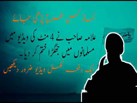 Allama Syed Hassan Raza Hamdani - YouTube