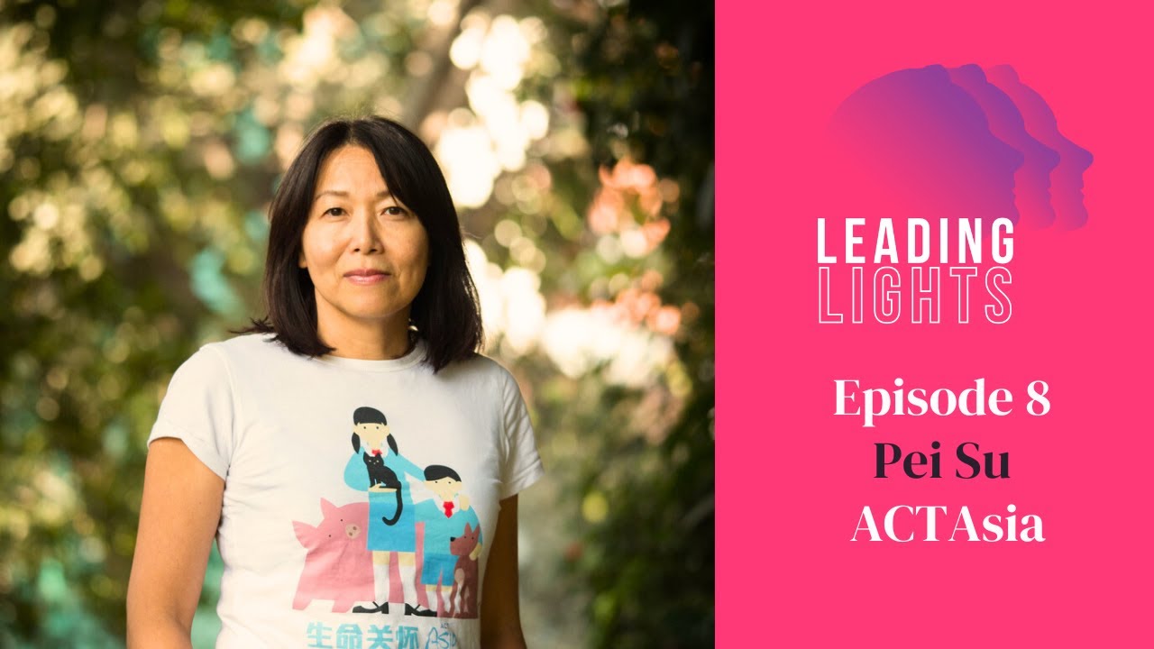 Leading Lights Ep8 | Pei Su | ACTAsia - YouTube