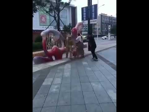 Şaşkin hirsizlar