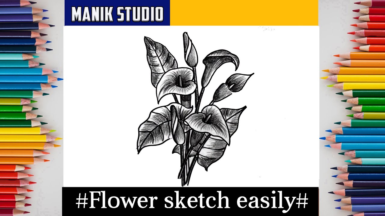 Flower sketch/ Flower pencil sketch/kalabati flower// ফুল পেন্সিল স্কেচ ...