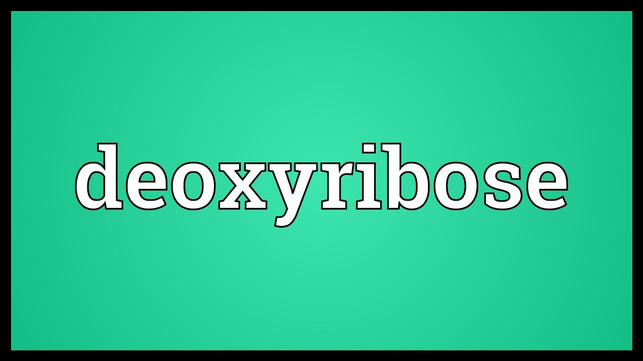 Deoxyribose Meaning - YouTube