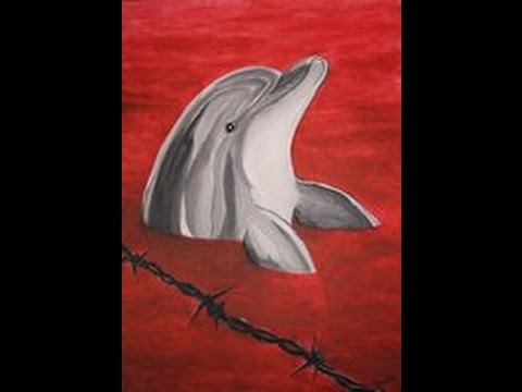 Blood Dolphins, Part 2 - YouTube