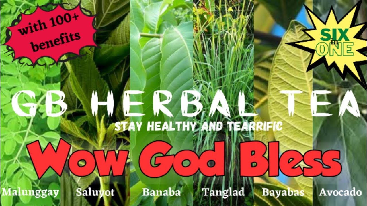 Gb Herbal Tea - YouTube