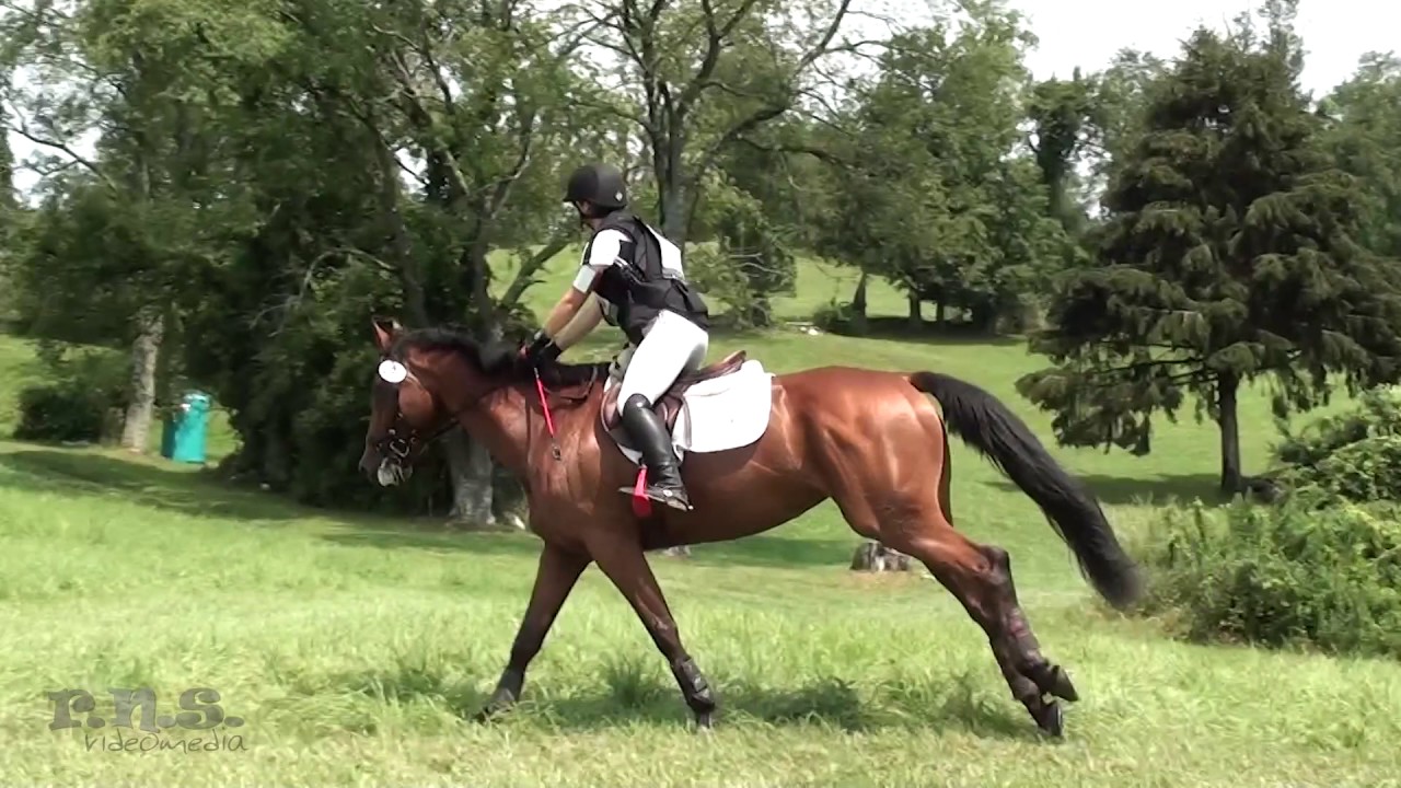 Margot Luria & Truly Fernhill Millbrook Horse Trials 2017 - YouTube