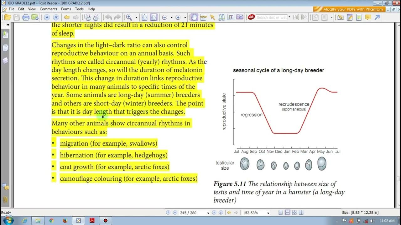 Biology Grade 12 Unit 5 Part 3 - YouTube