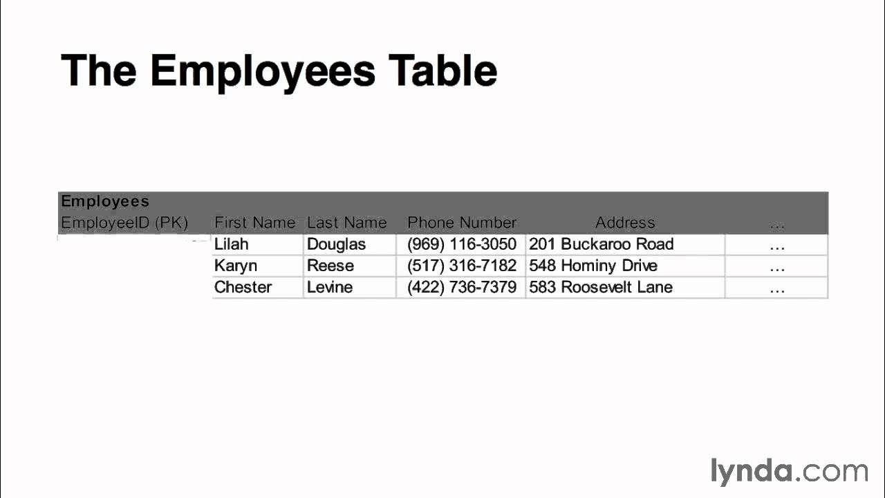 Tutorials - Relational Database Fundamentals 6/1 Identifying key fields - YouTube