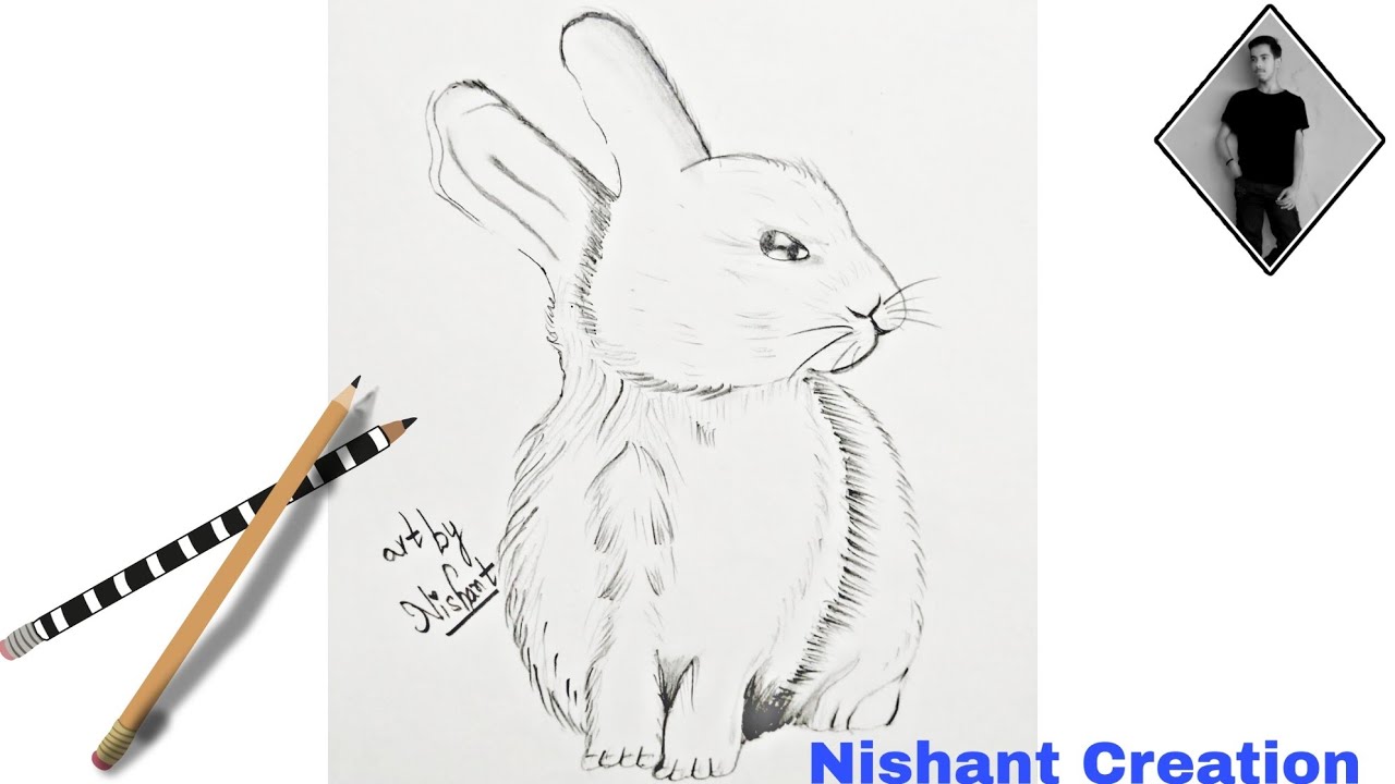 How to draw Rabbit 🐇 Drawing for beginners|| art by Nishant || - YouTube