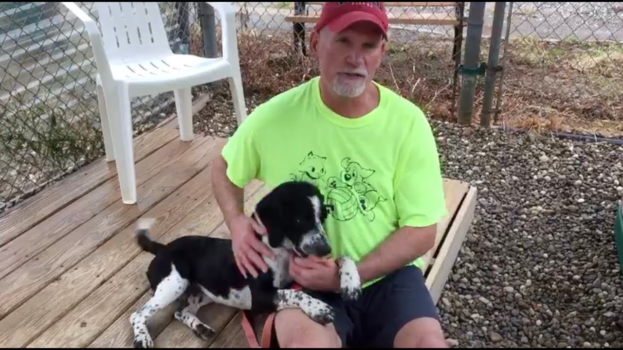 Berea Animal Rescue "Dog of the Week" — Gus - YouTube