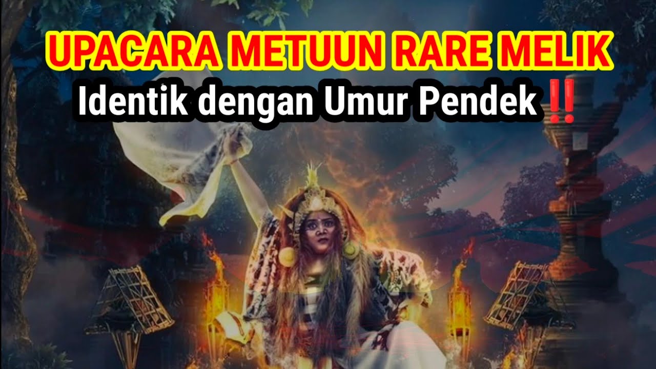 PROSESI METUUN RARE MELIK, IDENTIK DENGAN UMUR PENDEK‼️ - YouTube