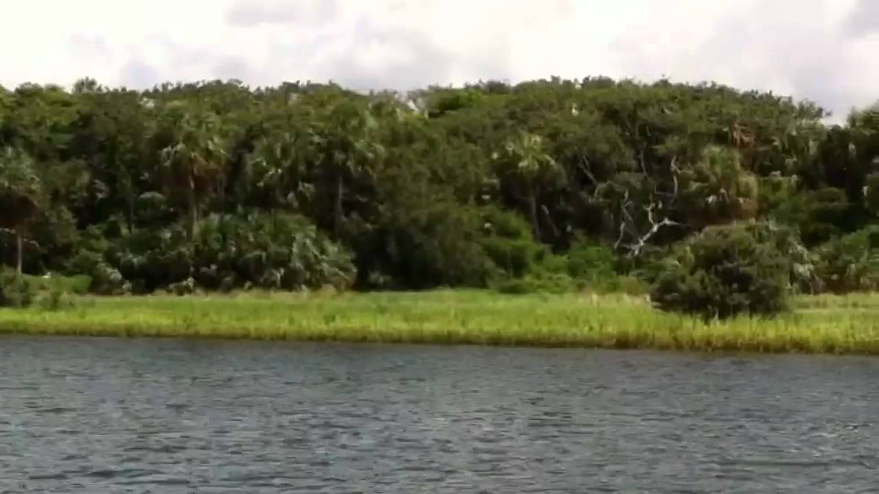 Cedar Key Boat Tour - YouTube