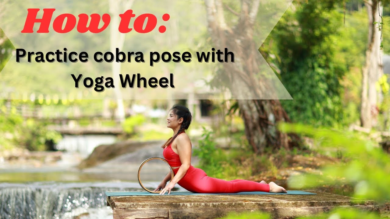 How to practice Cobra pose with Yoga Wheel เข้าท่า cobra ด้วย โยคะวีล ...