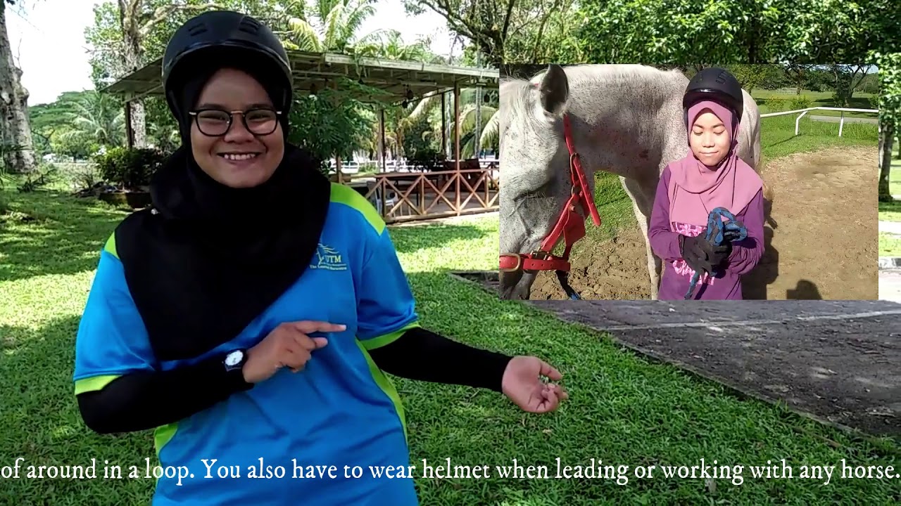 [ UTM EQUINE MANAGEMENT ] Farm and Stable Management : Handling and ...