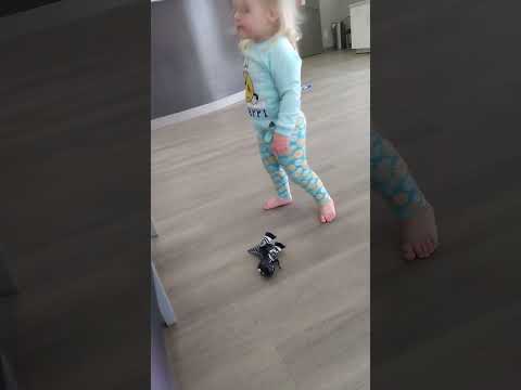 Toddler crawling under chairs in Dr office lobby while waiting to be ...