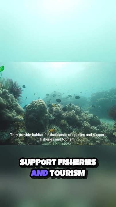 Coral Reefs Guardians of the Ocean Under Threat 🌊 - YouTube