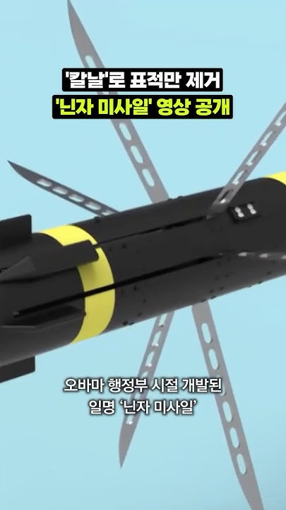 칼날로 표적만 제거 닌자 미사일 영상 공개|크랩 Youtube