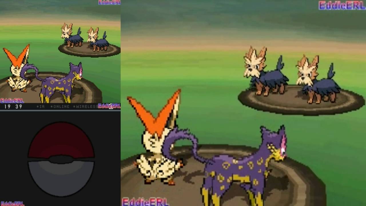 TAP (DS) Pokémon 5: White Version 5/9 - YouTube