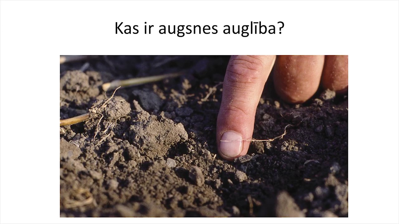 Augsnes auglības saglabāšana, izmantojot augsnes apstrādes tehnoloģijas ...