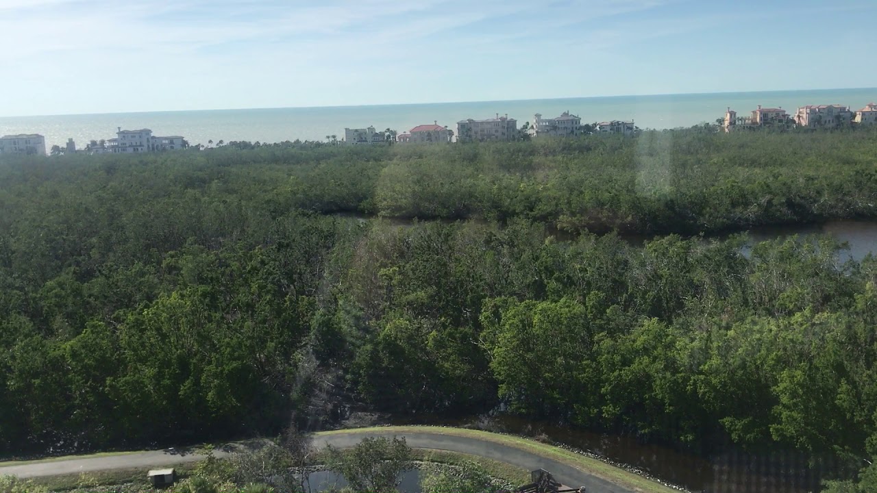 Trieste at Bay Colony Views of the Strand and Bay Colony High Rises ...