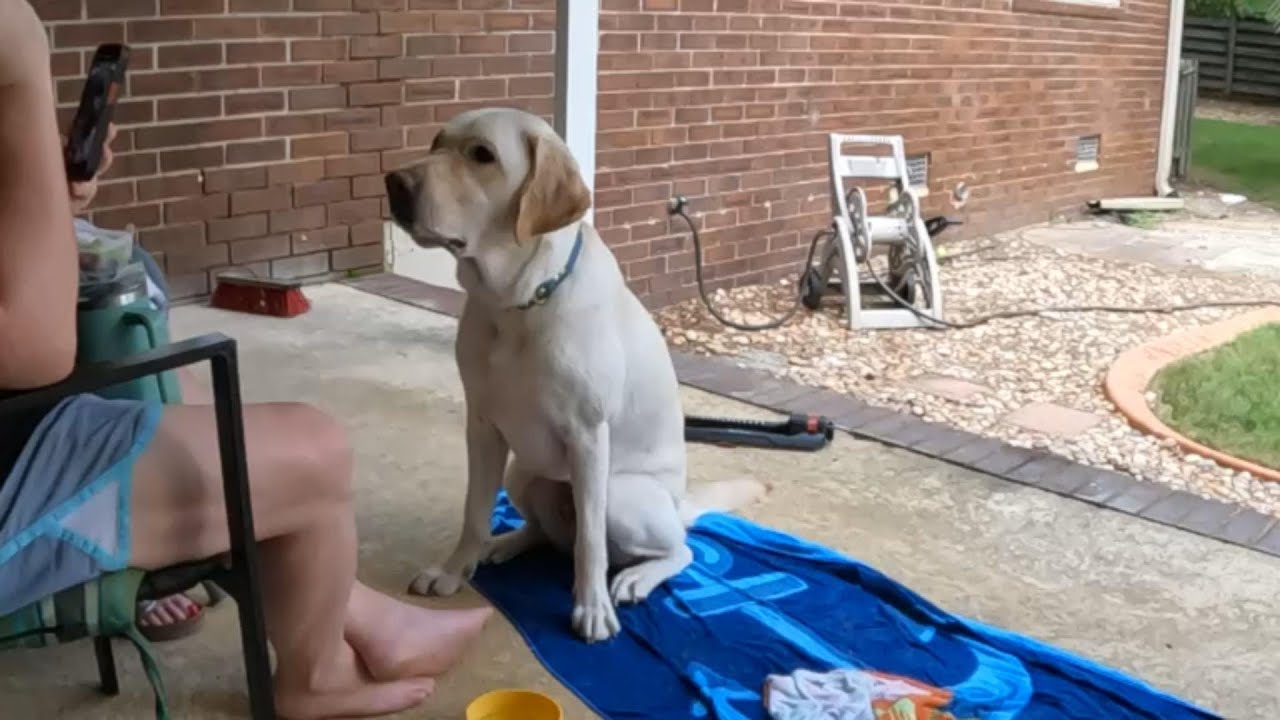 2024 FINAL parrt 5 - YouTube