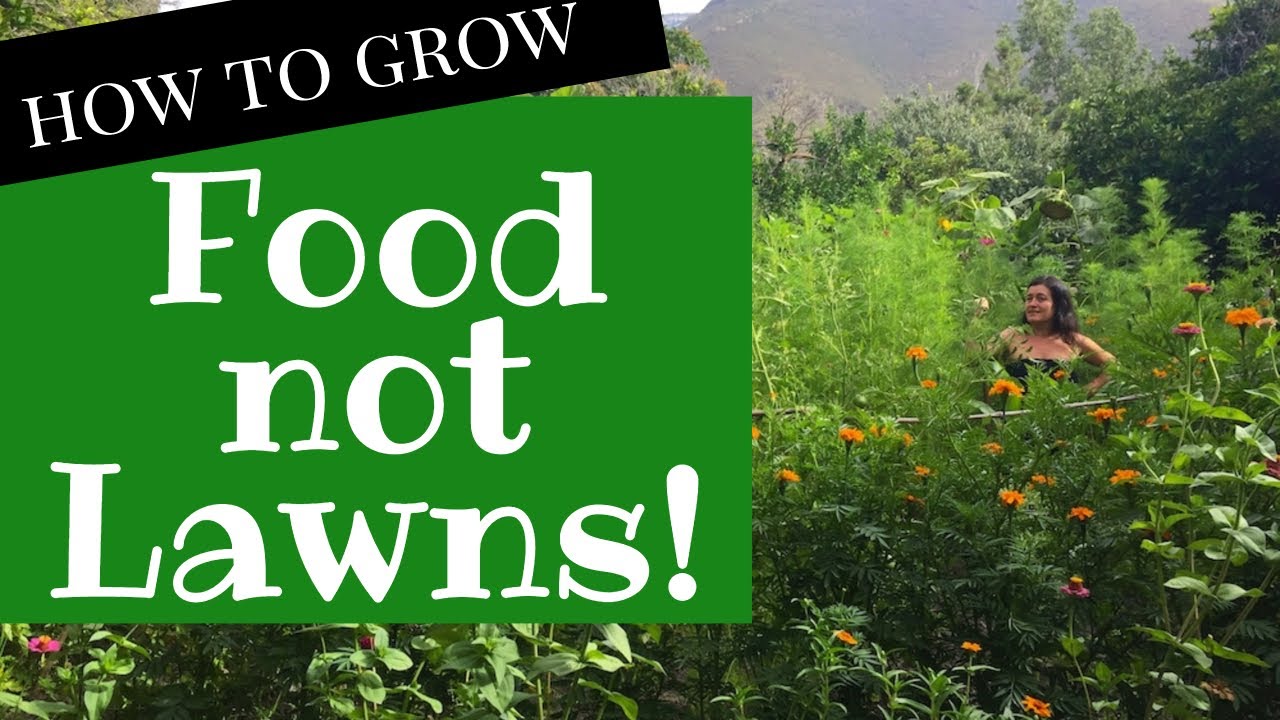 How to Grow Food Not Lawns - YouTube