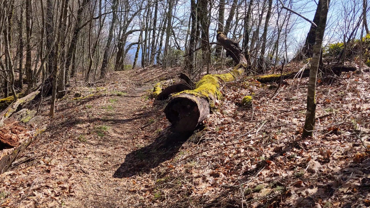 Beautiful Vista Wayah Bald to Tellico Gap DudeMan Appalachian Trail ...