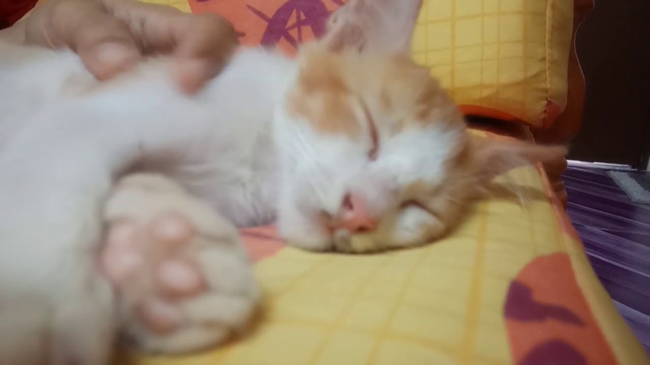 Bila ko tido mati..🤣 - YouTube