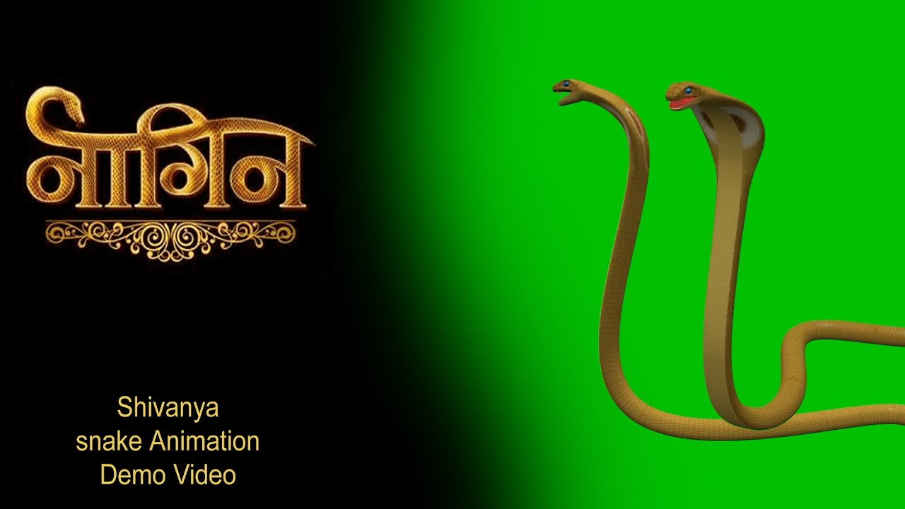 Shivanya Snake Animation Green Screen || Demo Video || Golden Snake ...