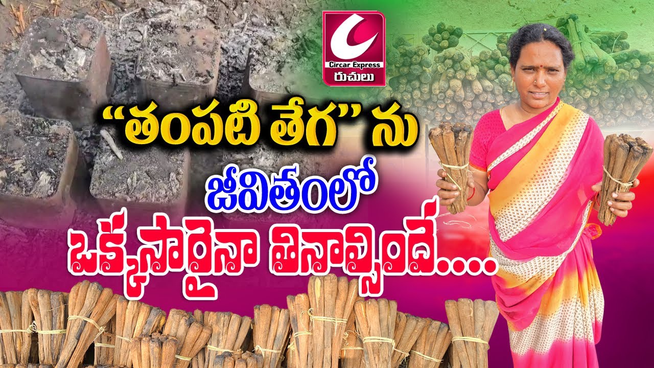 "తంపటి తేగ" ను జీవితంలో ఒక్కసారైనా తినాల్సిందే....| Thati tegalu health ...
