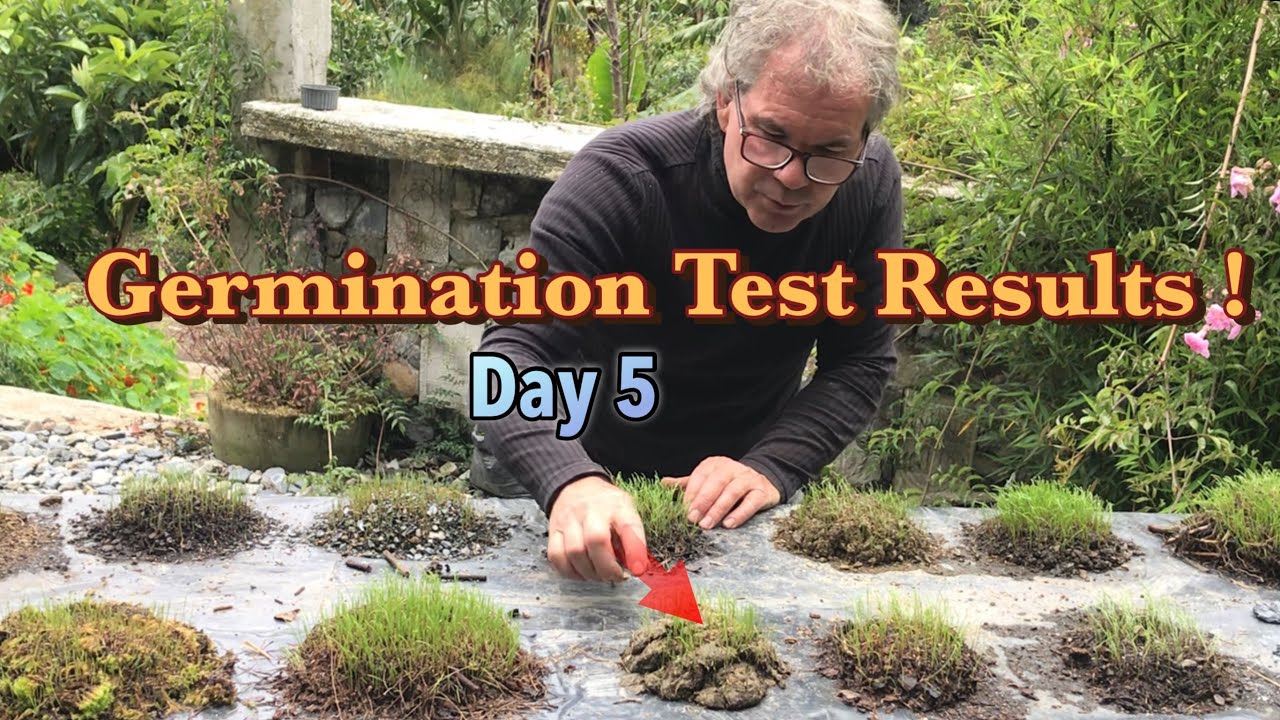 Seed germination experiment results! Part 2 testing 16 different ...