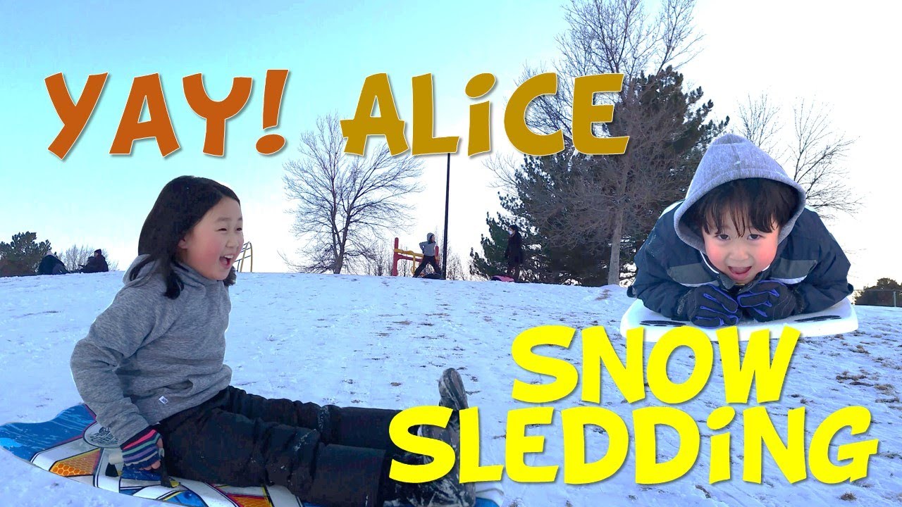 Yay Alice Snow Sledding🛷 - YouTube